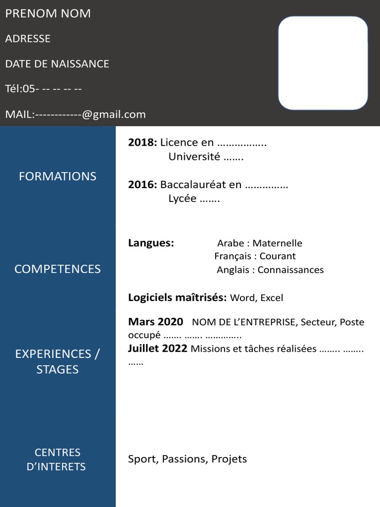 Exemple CV 2023 | PDF