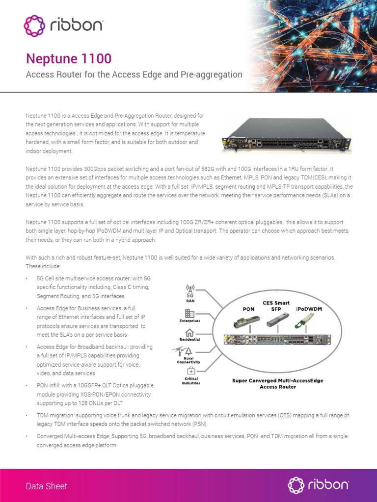 DS Neptune NPT-1100 | PDF | Networking | Multiprotocol Label Switching