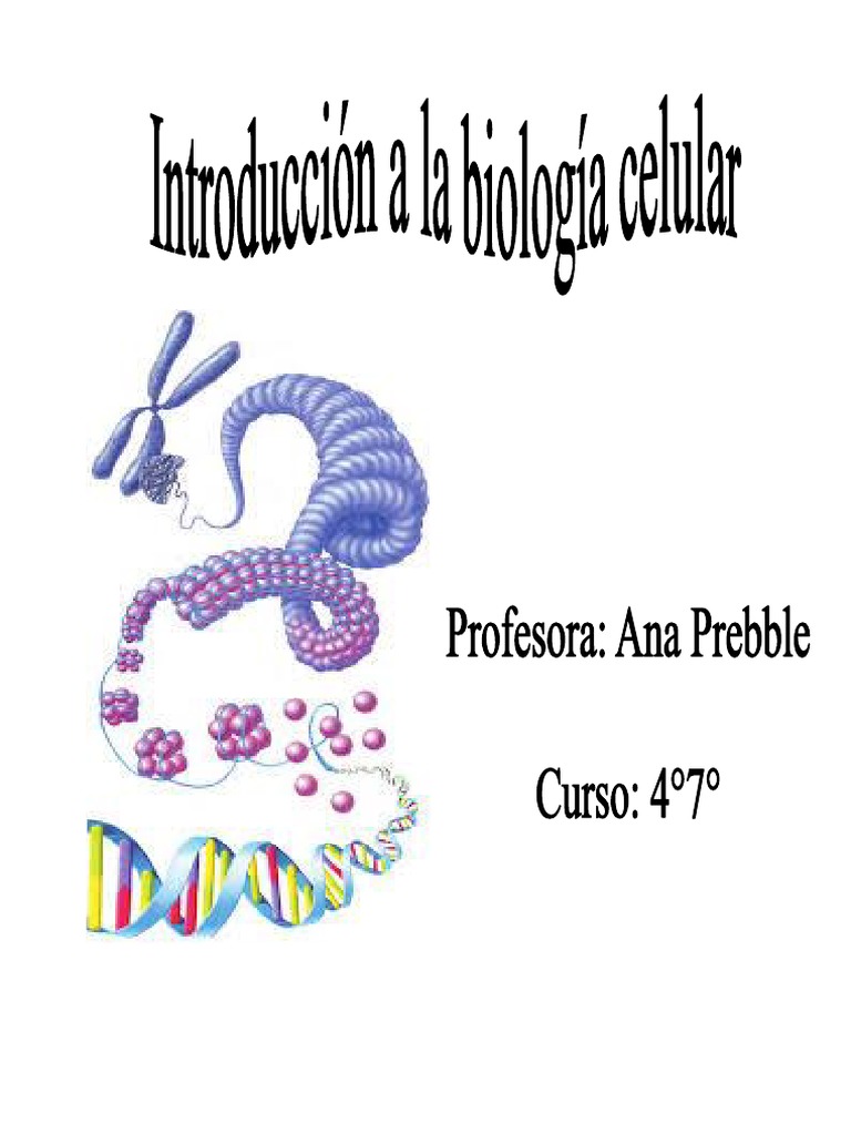 Introduccion A La Biologia Celular Carpeta | PDF | Biología Celular) | Citoplasma