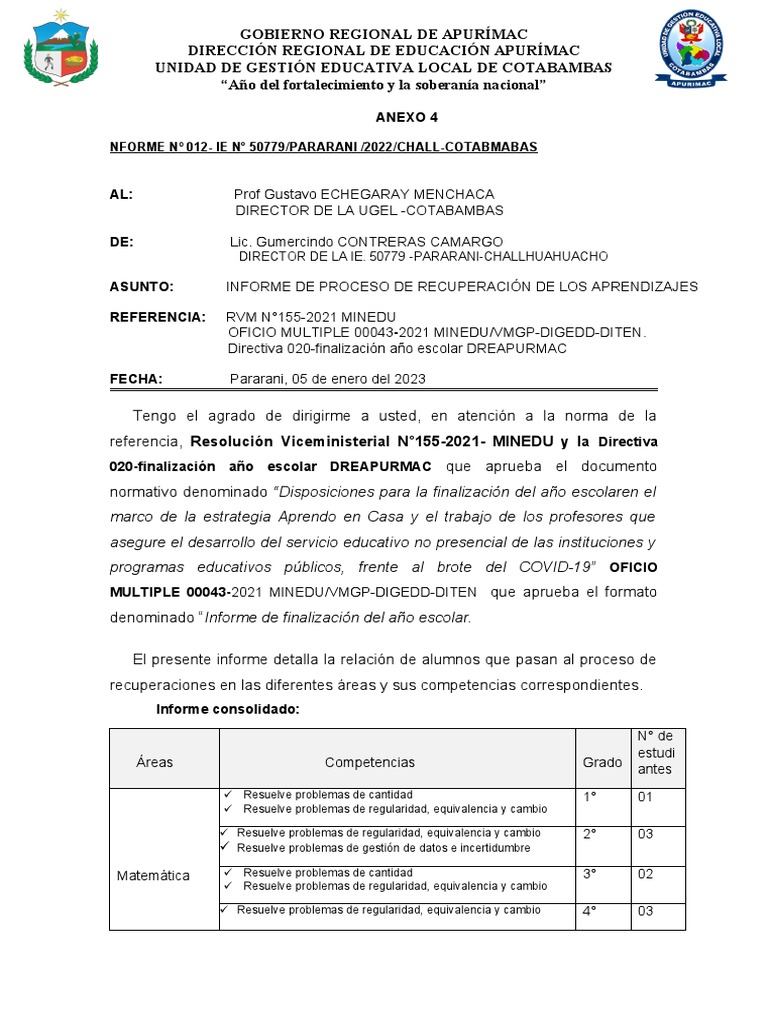 Informe de Proceso de Recuperación de Los Aprendizajes | PDF