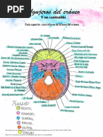 (Anatomía) Triángulos de Pirogoff y Béclard | PDF | Medicina CLINICA ...