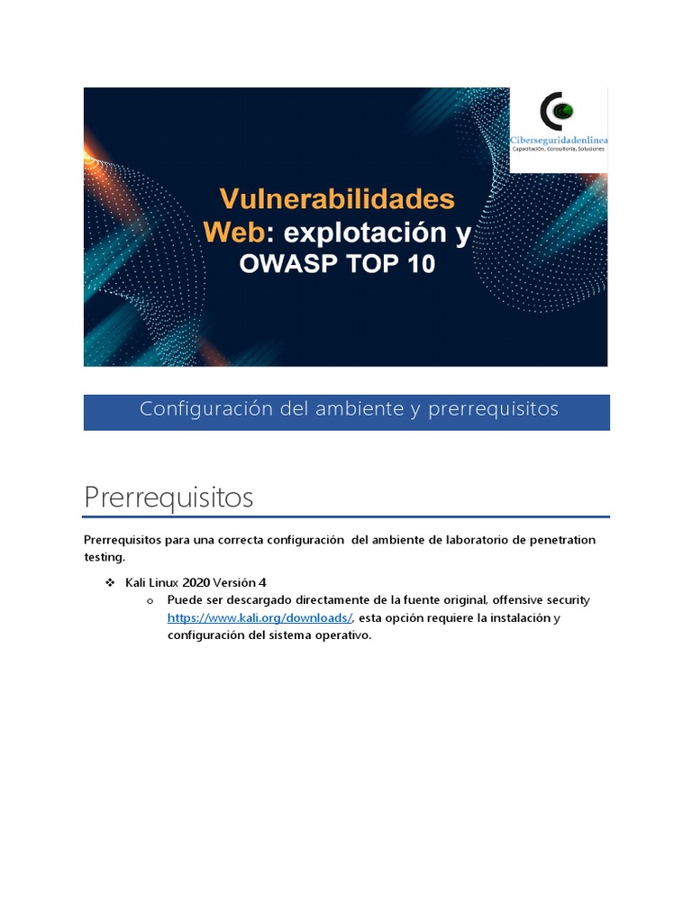 Guia Top 10 OWASP - Vulnerabilidades Web | PDF | V Mware | Virtualización Guia Top 10 OWASP - Vulnerabilidades Web | PDF | V Mware | Virtualización