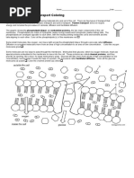 Video Recap of Osmosis by Amoeba Sisters Answer Set | PDF | Osmosis ...