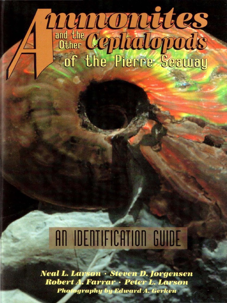 Ammonites and The Other Cephalopods of The Pierre Seaway ...