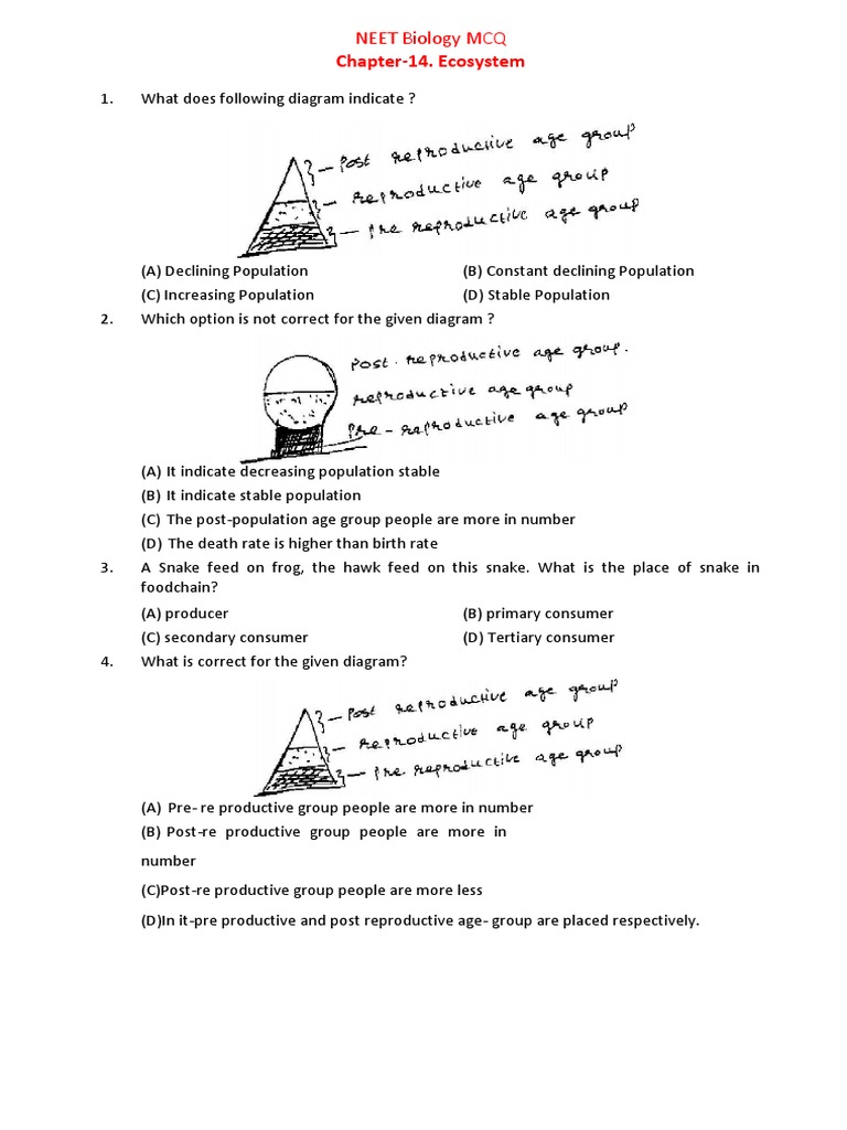 Chapter 14 Ecosystem A | PDF | Ecosystem | Food Web
