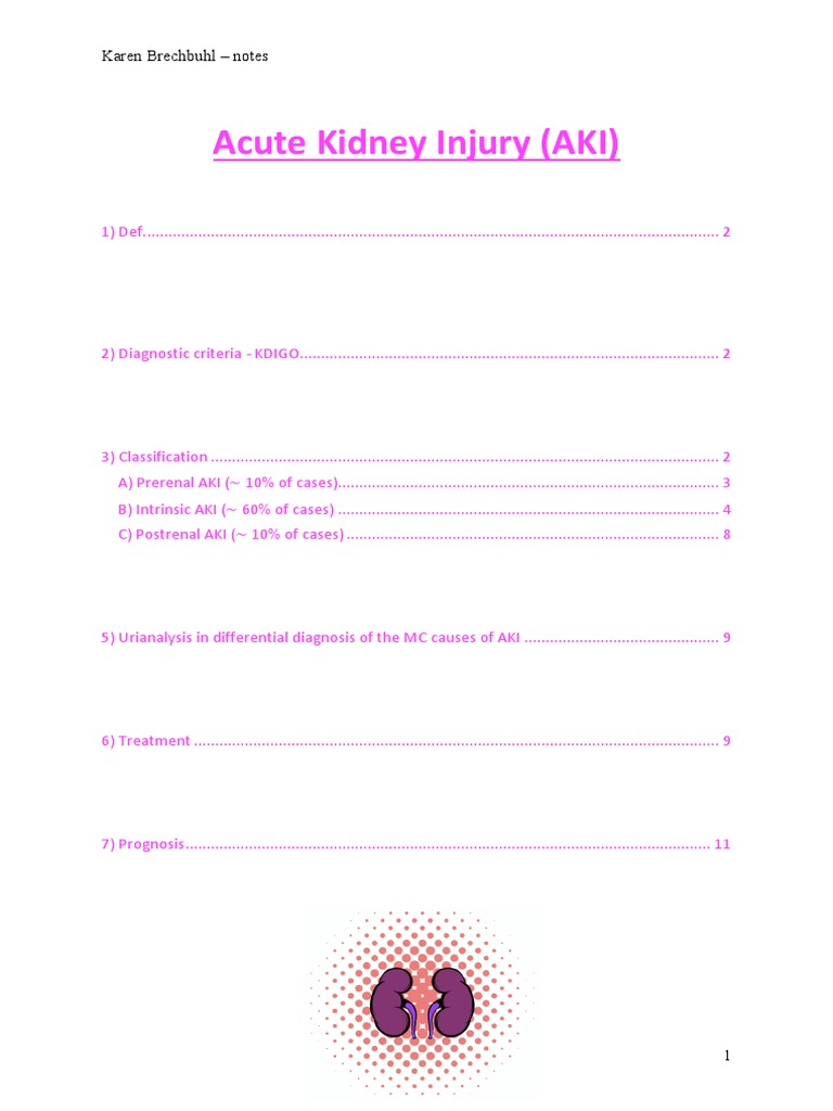 Classification and Diagnostic Criteria for Acute Kidney Injury ...