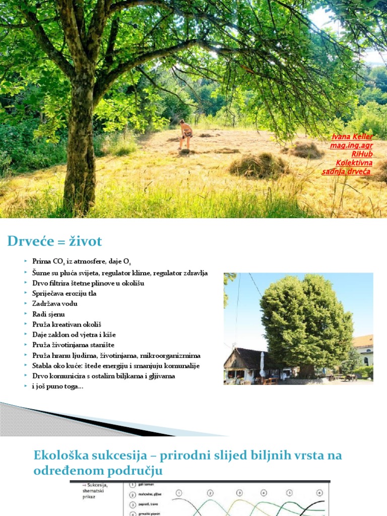 Ivana Keller Mag - Ing.Agr Rihub Kolektivna Sadnja Drveća | PDF