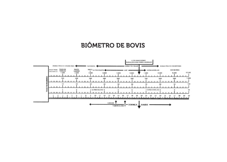 Biometro de Bovis | PDF