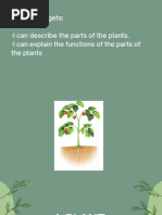 Parts of Plants GRADE 4 NATURAL SCIENCE | PDF
