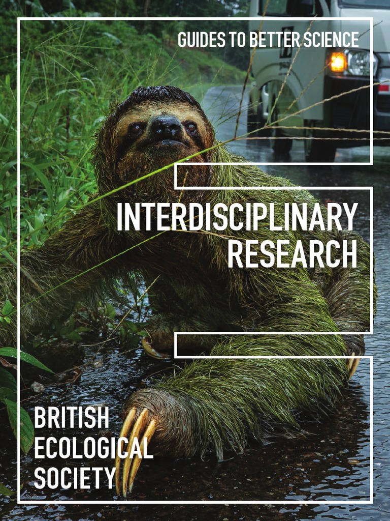 Bes Guide To Interdisciplinary Research Pdf Interdisciplinarity