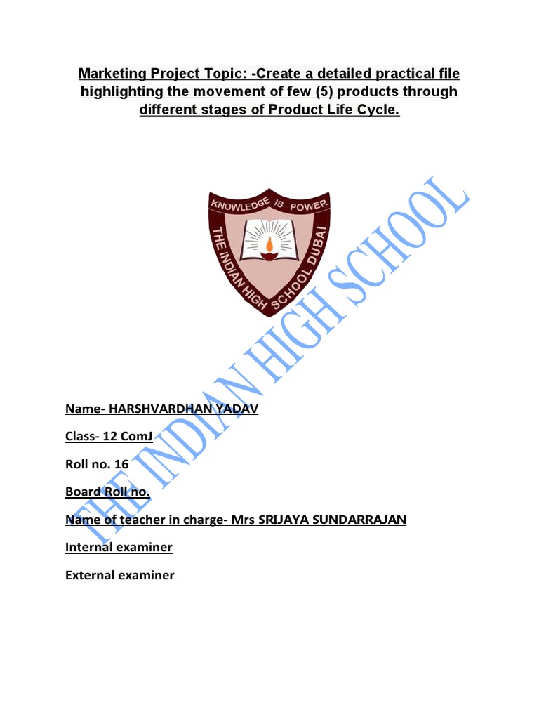 Marketing Grade 12 Project | PDF | Pepsi | Business Process