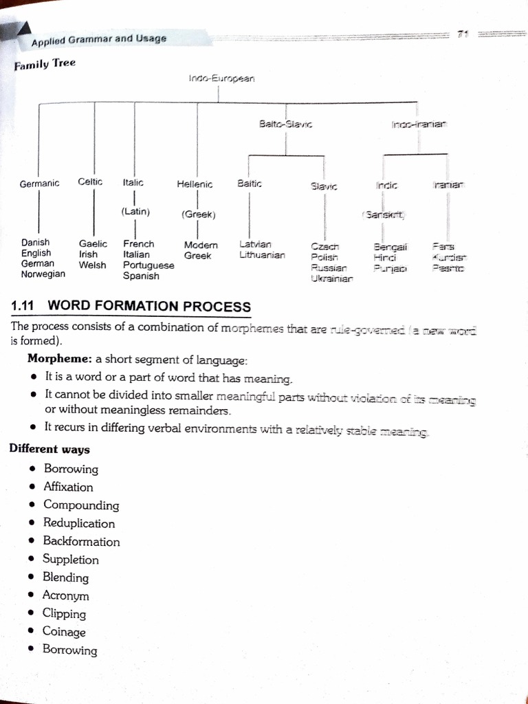 Soft Skills Unit 1 New Word Formation | PDF | Word | Language Mechanics