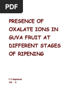 Class 12th Chemistry Project On Investigatory Test On Guava | PDF ...