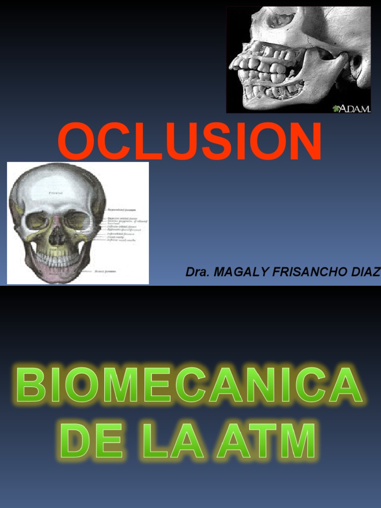 Biomecanica de La Atm | PDF
