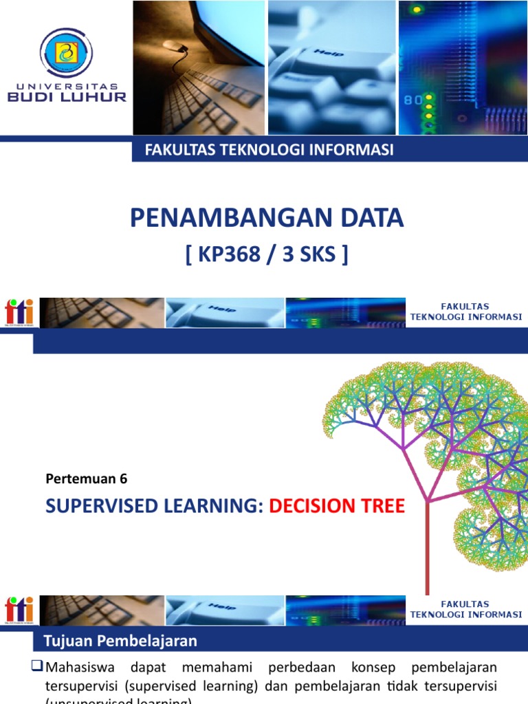 DM - P6 - Supervised Learning (Decision Tree) | PDF