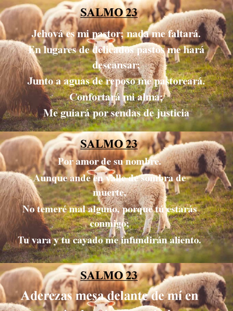 Salmo 23 | PDF