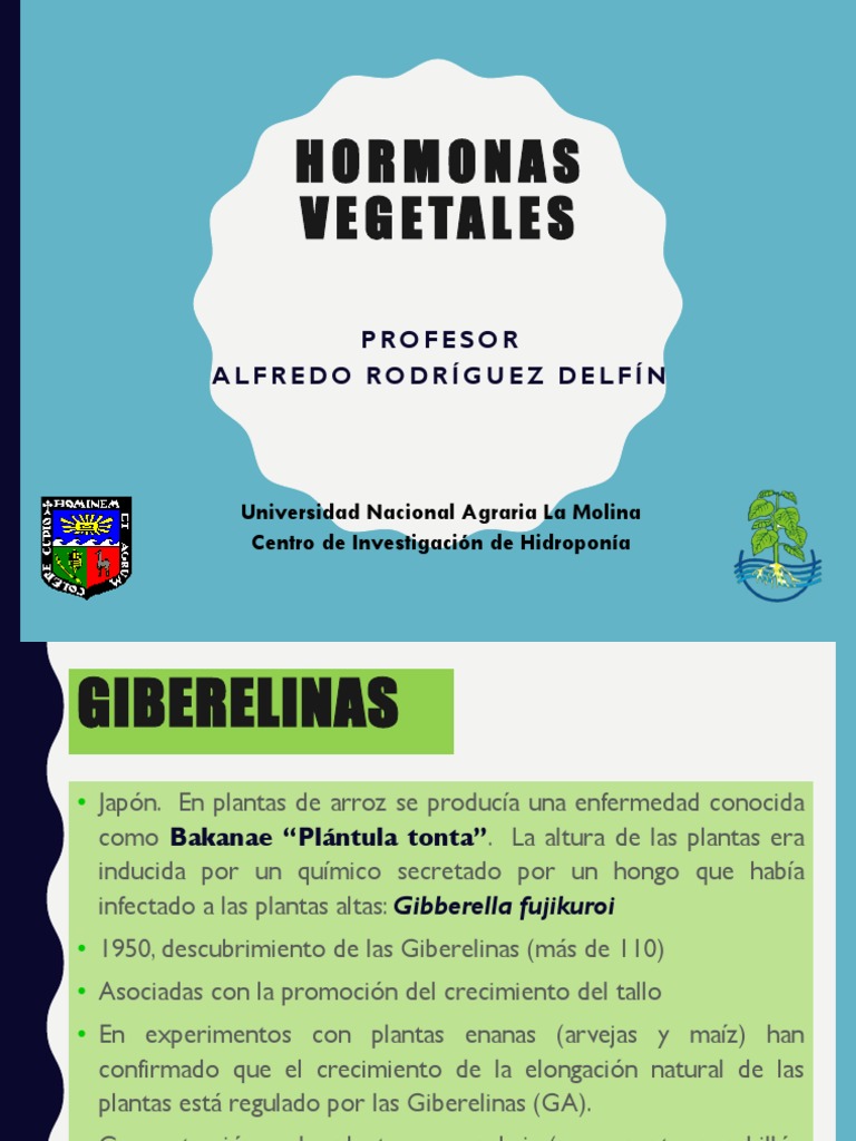 Hormonas vegetales: El papel de las giberelinas y citoquininas en el desarrollo y crecimiento de ...