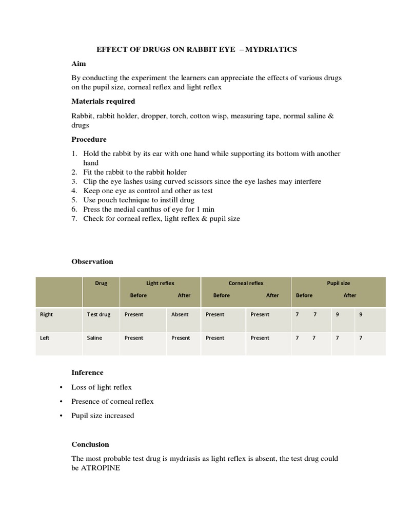 Rabbit Eye Experiments Final | PDF | Cornea | Eye