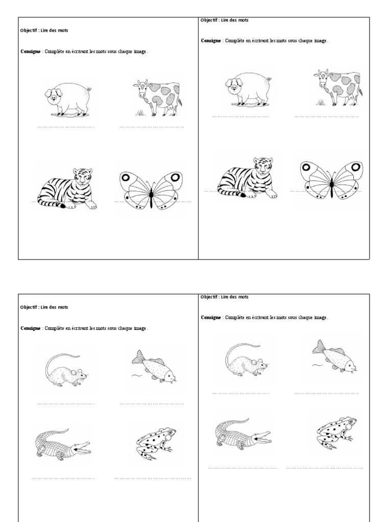 Associer Le Mot À L'image | PDF