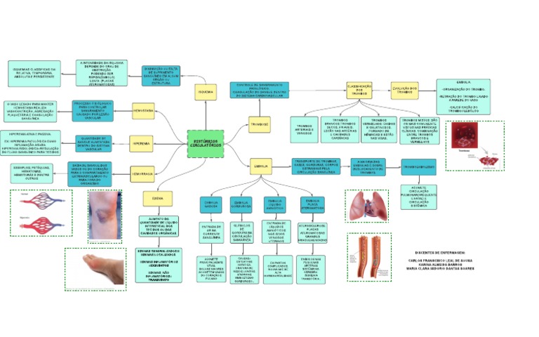 Mapa Mental Patologia | PDF | Embolia | Sistema circulatório