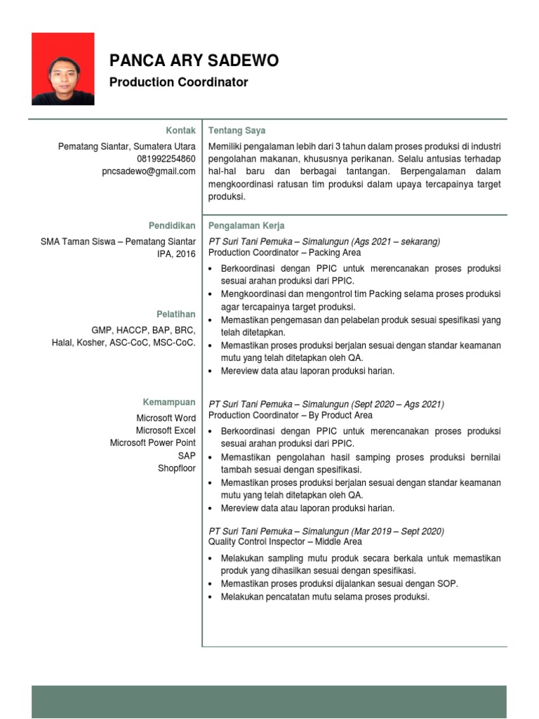 CV Panca | PDF | Bisnis