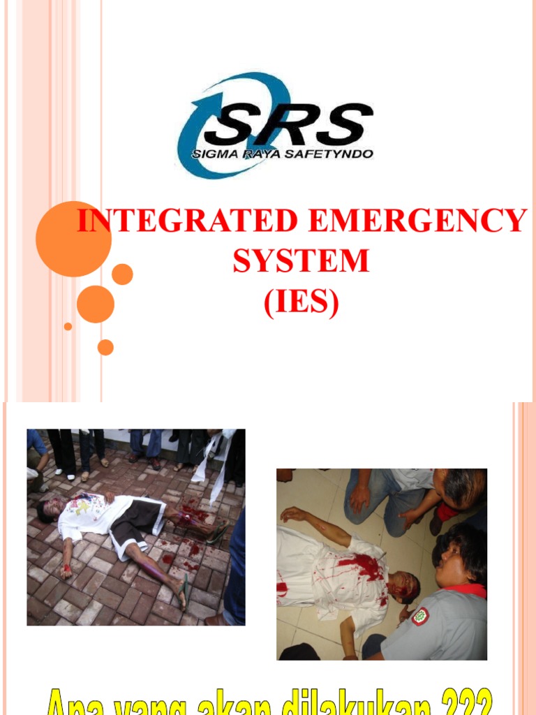 Integrated Emergency System (IES) | PDF
