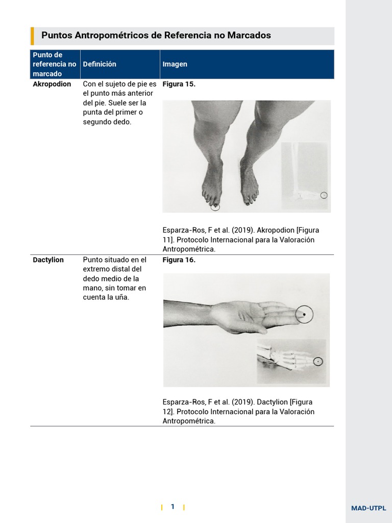 Puntos Antropométricos de Referencia No Marcados | PDF | Anatomía ...