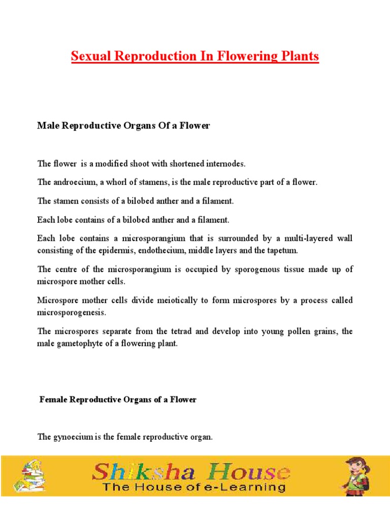 2 Sexual Reproduction in Flowering Plants | PDF | Flowers | Fertilisation