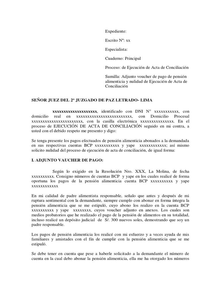 Modelo de Escrito Civil-Adjunto Voucher de Pago de Pensión Alimenticia y Nulidad de Ejecución de ...
