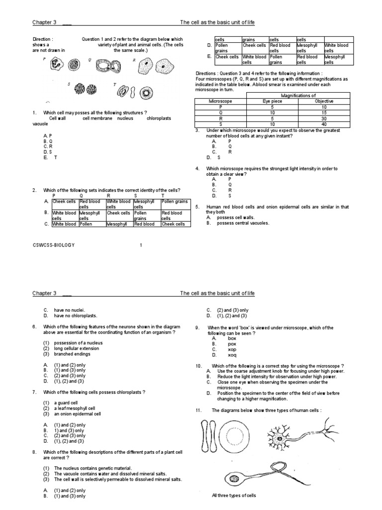 Chapter2-The Cell As The Basic Unit of Life | PDF | Cell (Biology) | Leaf