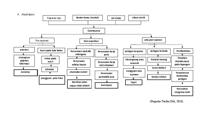Pathway Combus | PDF