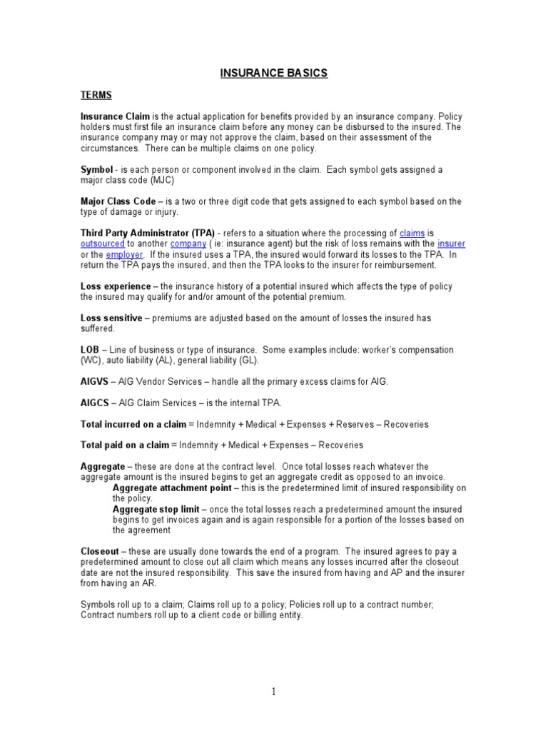 Insurance Basics | PDF | Insurance | Deductible