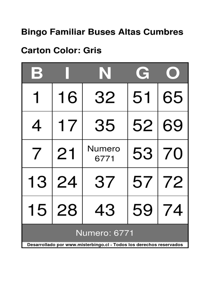 Carton Bingo Numero 6771 | PDF