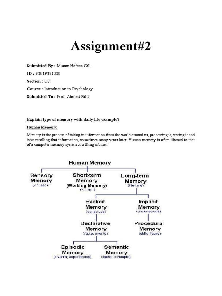 Assignment # 2 Psychology | PDF | Memory | Long Term Memory
