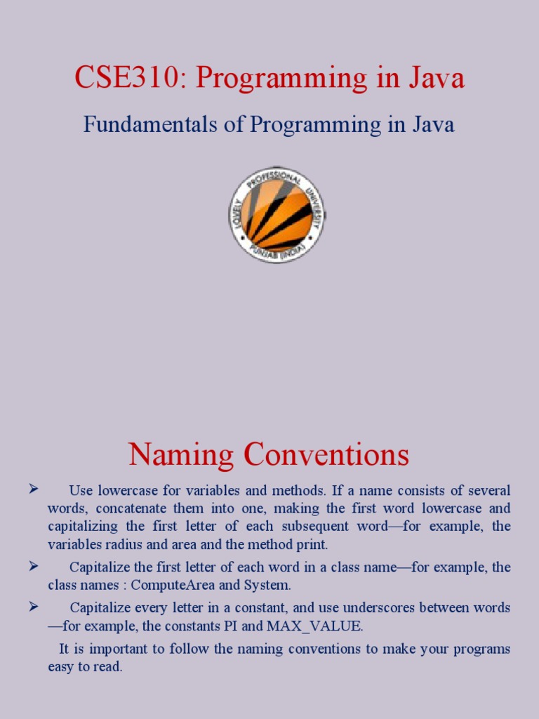 Fundamentals Of Programming In Java Pdf Data Type Integer Computer Science