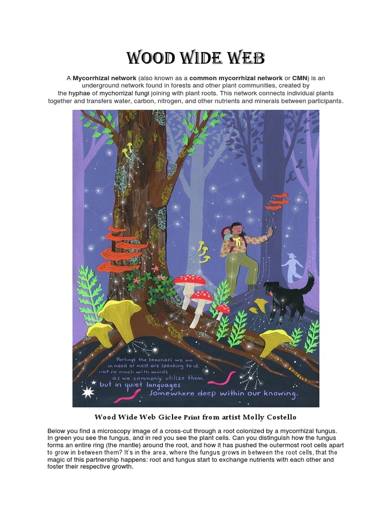 Wood Wide Web | PDF | Fungus | Earth Sciences