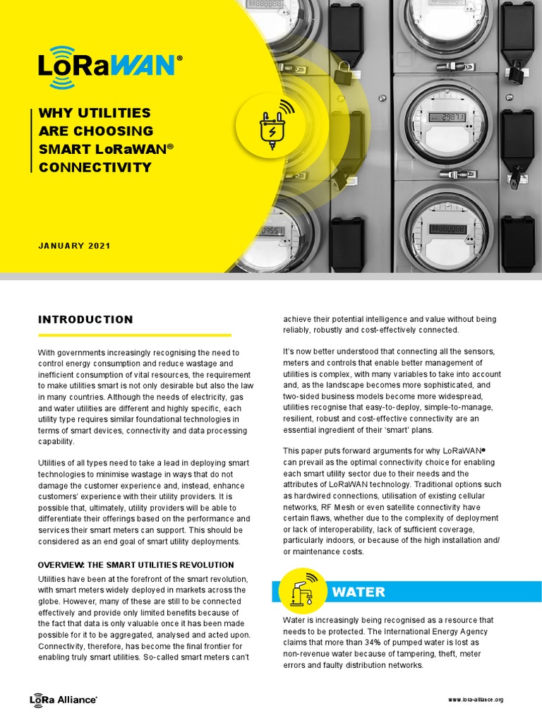 Why Utilities Are Choosing Smart Lorawan Connectivity | PDF | Internet ...