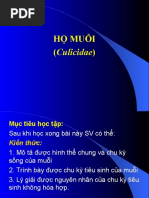 IELTS Writing Task 1 - Process - Life Cycle of A Salmon PDF | PDF