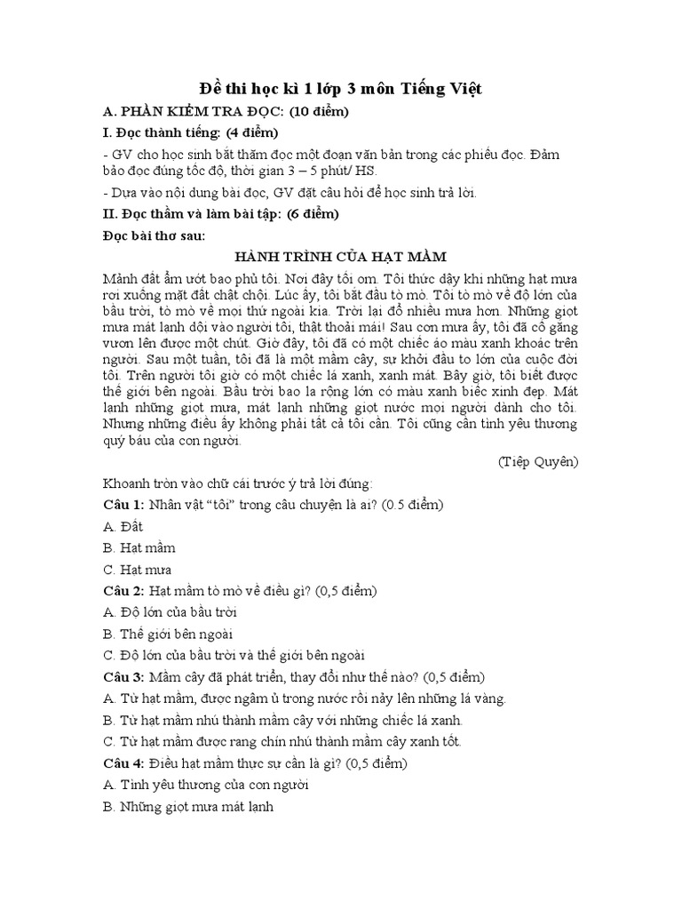 De Thi Tieng Viet Lop 3 Hoc Ki 1 Chan Troi Sang Tao So 3 | PDF