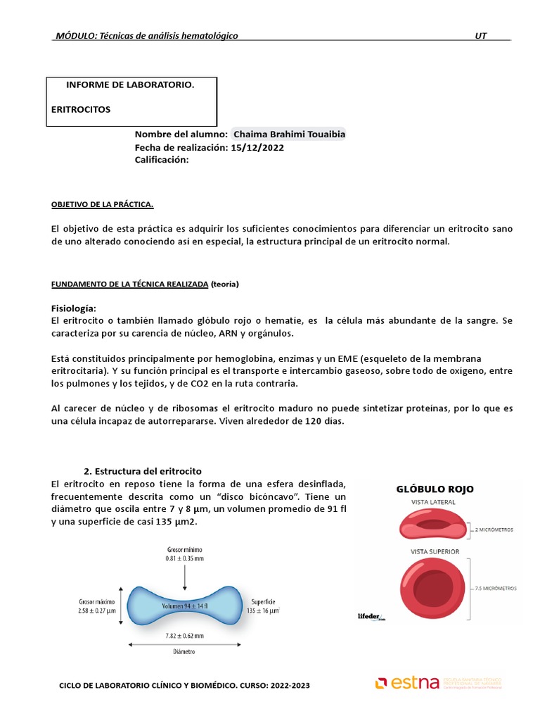 Ip9. Eritrocitos | PDF | Glóbulo rojo | Histología