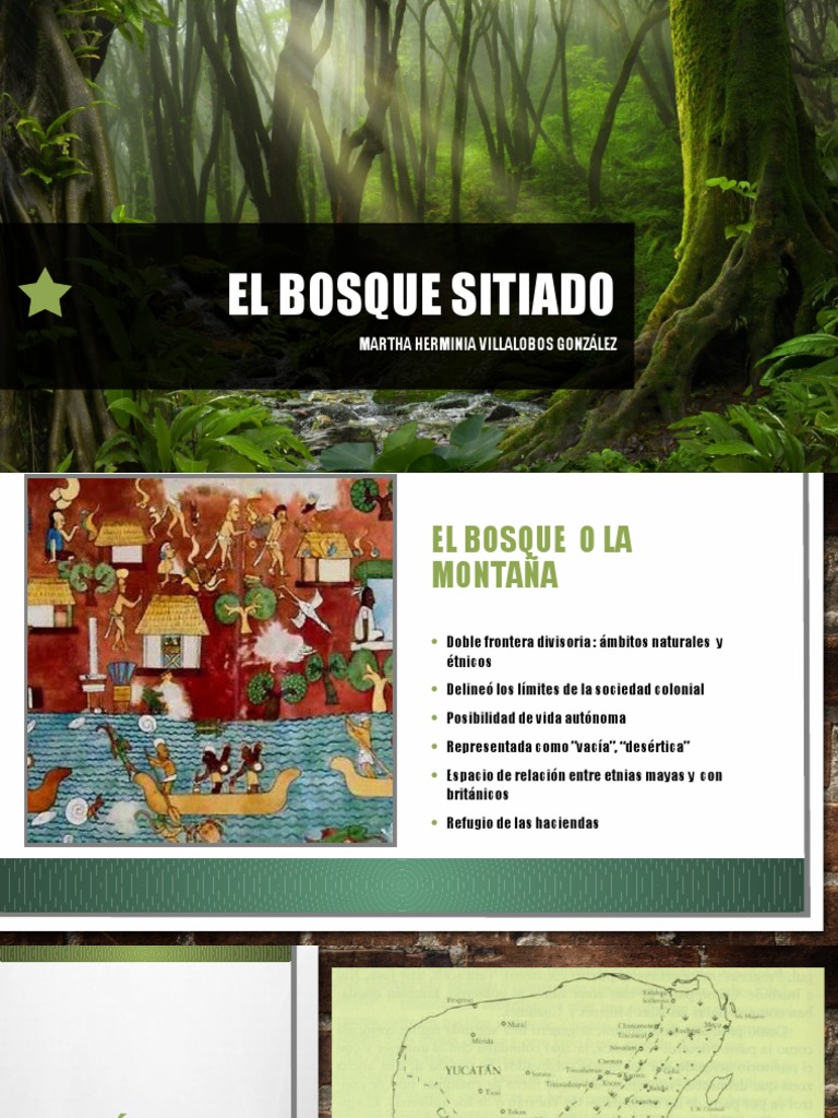 Presentación Sobre El Libro "El Bosque Sitiado" | PDF