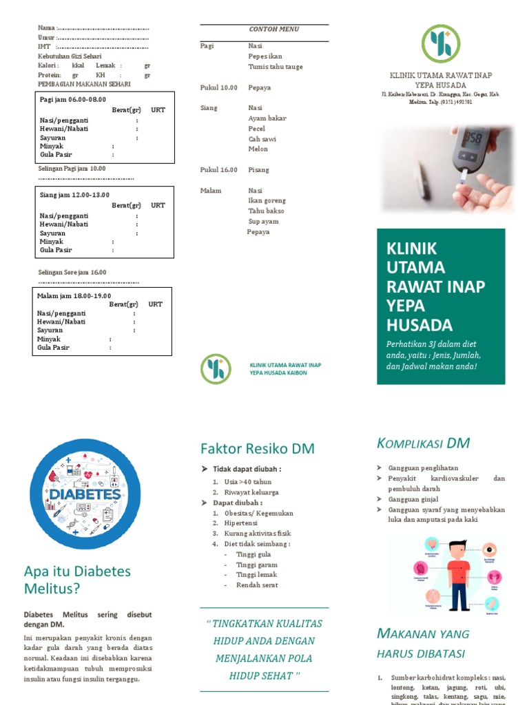 Leaflet DM Dina | PDF