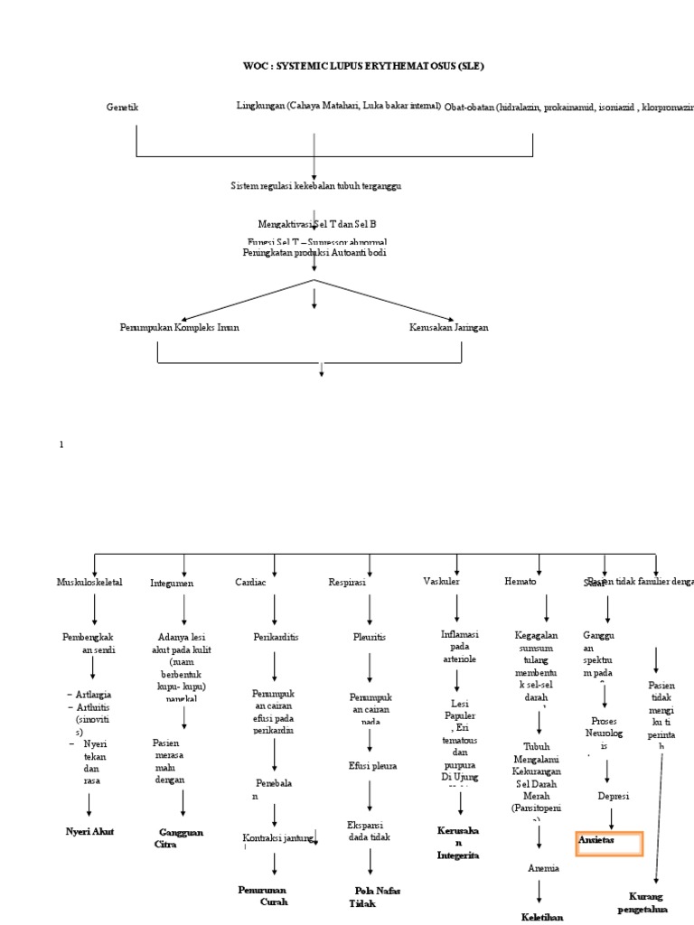 Mita 397017601-367980949-woc-SLE PDF | PDF