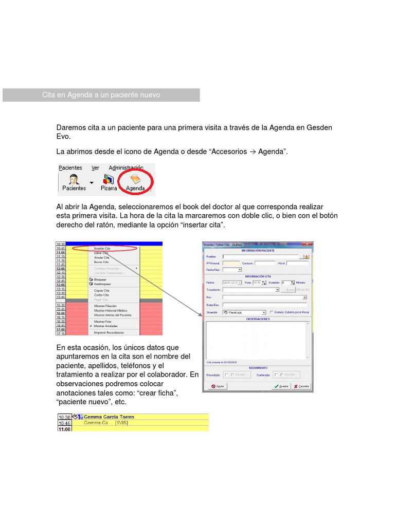 Infomed Manual Gesden-Evo-Profesional Es | PDF | Ventana (informática ...
