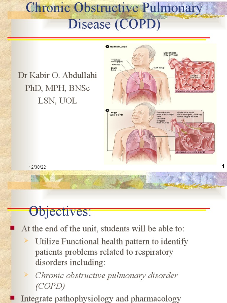 Copd A | PDF | Chronic Obstructive Pulmonary Disease | Lung