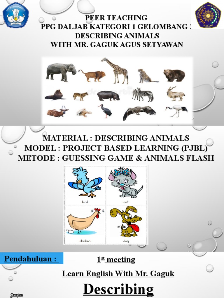 Peer Teaching | PDF | Karier & Perkembangan