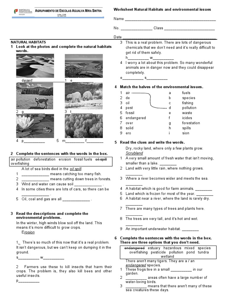 Vocabulary for Environmental Issues | PDF | Orangutan | Habitat