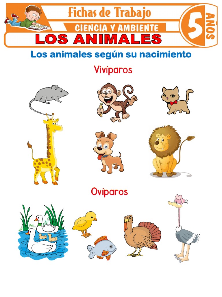 Los Animales para Ninos de 5 Anos | PDF