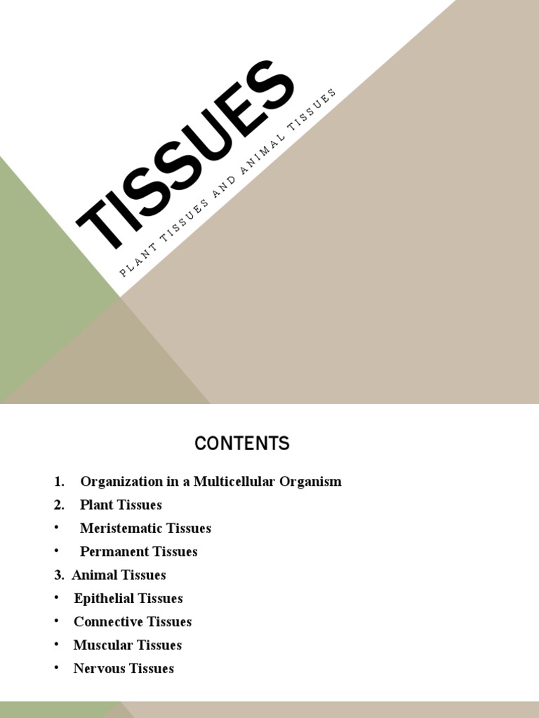 Tissues | PDF | Tissue (Biology) | Anatomy