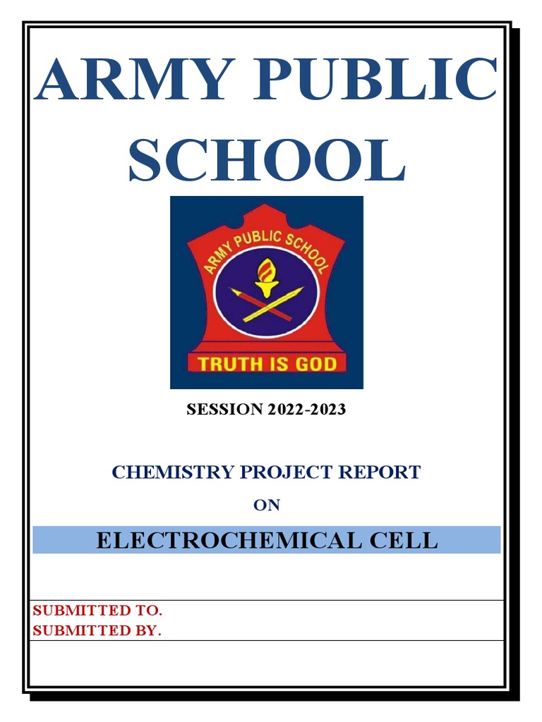 Electrochemical Cell Project Report | PDF | Redox | Electrochemistry